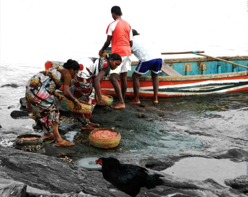 Netting new and old insights for a resilient future: Elevating place ...